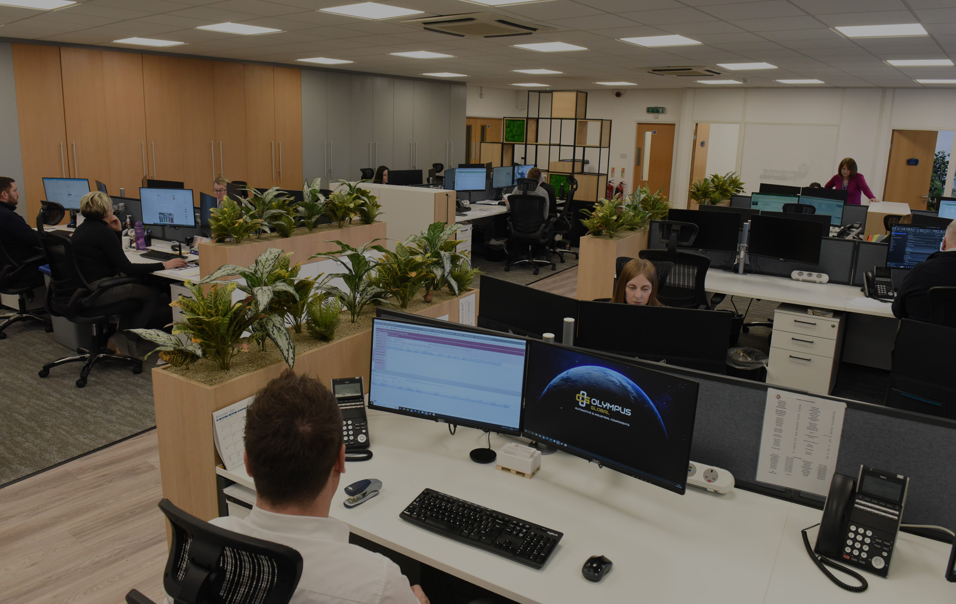 Contact – Olympus Global