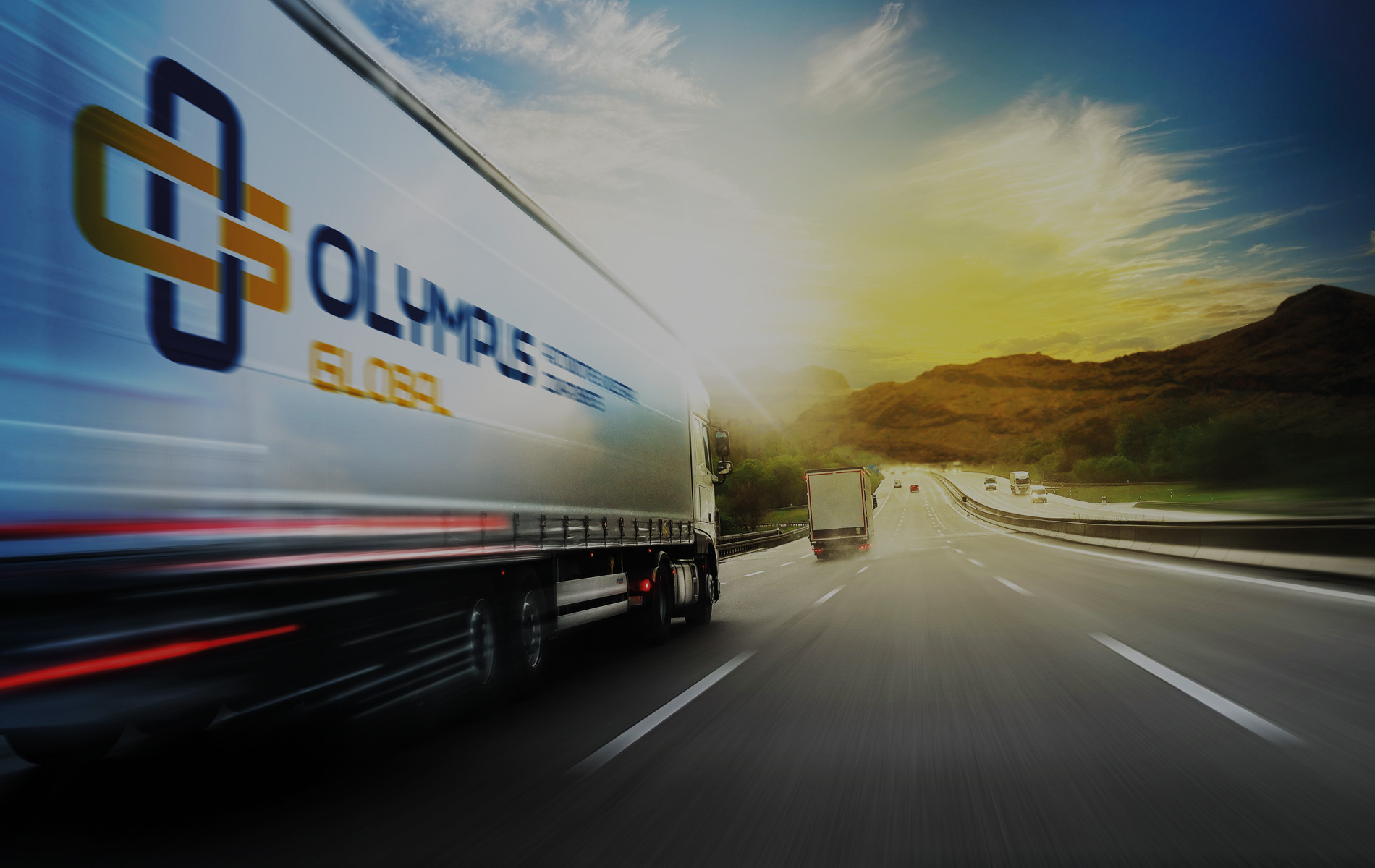 services – Olympus Global